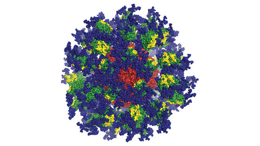 IAVI and Moderna launch trial of HIV vaccine antigens delivered through ...