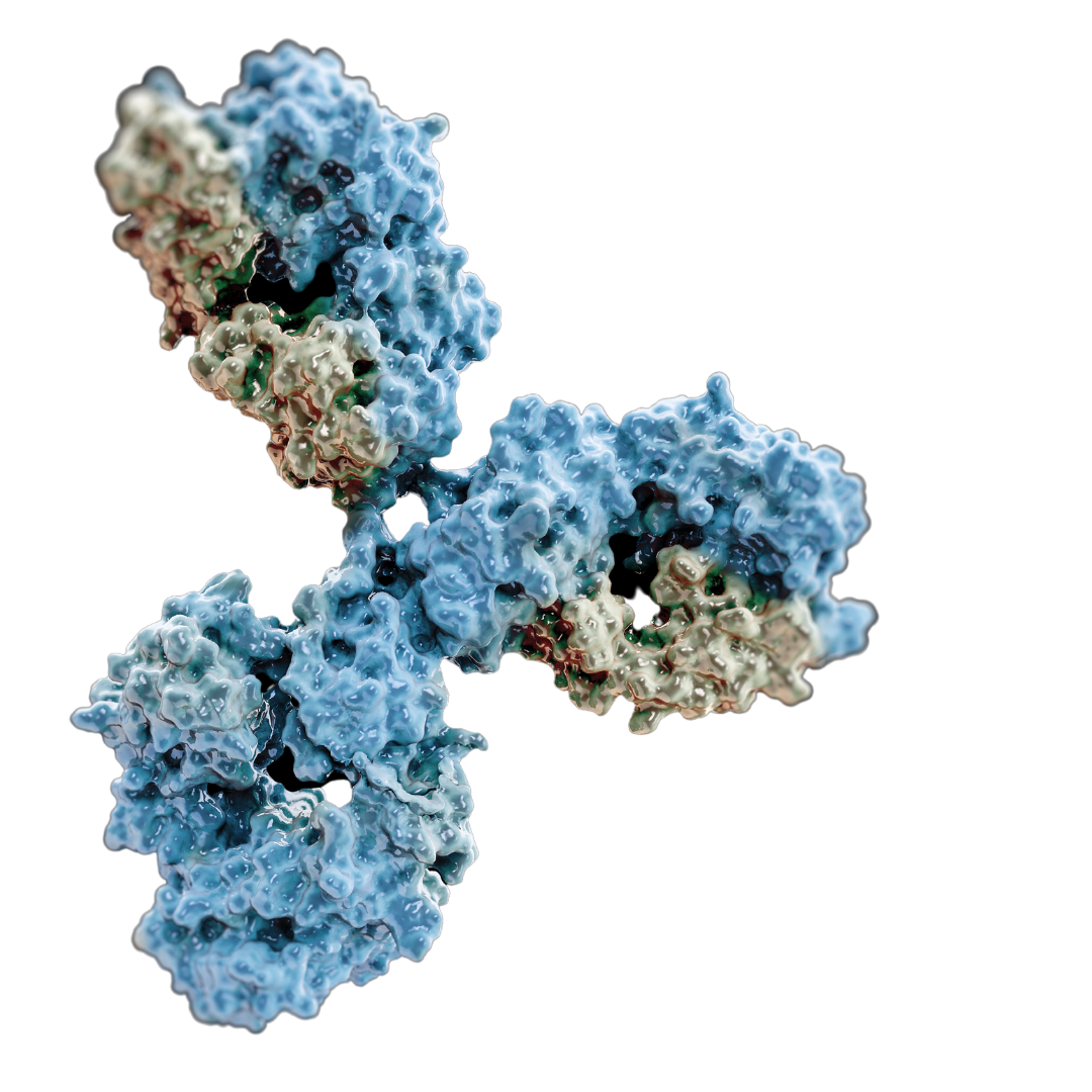 HIV Antibodies - IAVI
