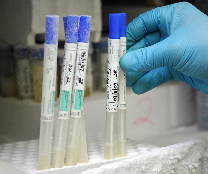 IAVI and TBVI Strengthen Tuberculosis Vaccine Development Pathway - IAVI