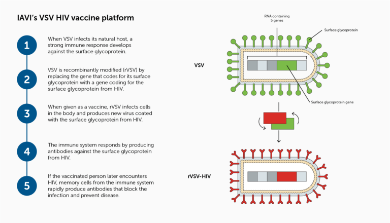 HIV Vaccines - IAVI