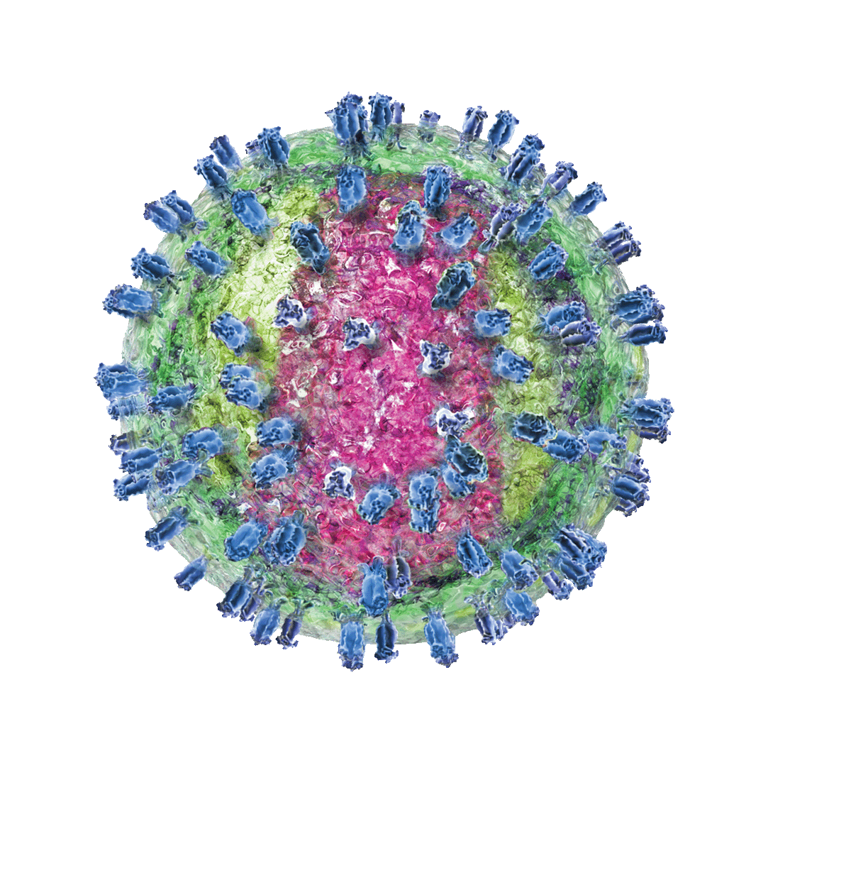 ReiThera Srl, the Ragon Institute and IAVI announce collaboration to advance highly networked T ...