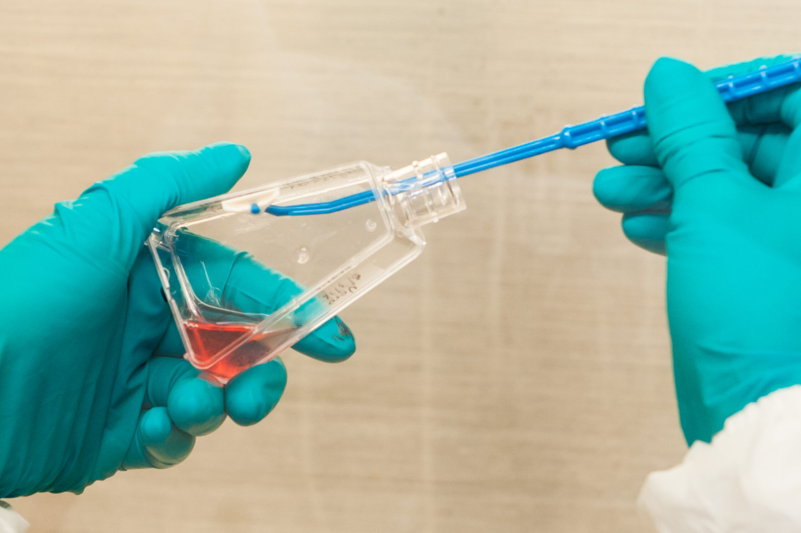 The Vaccine Design & Development Laboratory (DDL) Team - IAVI