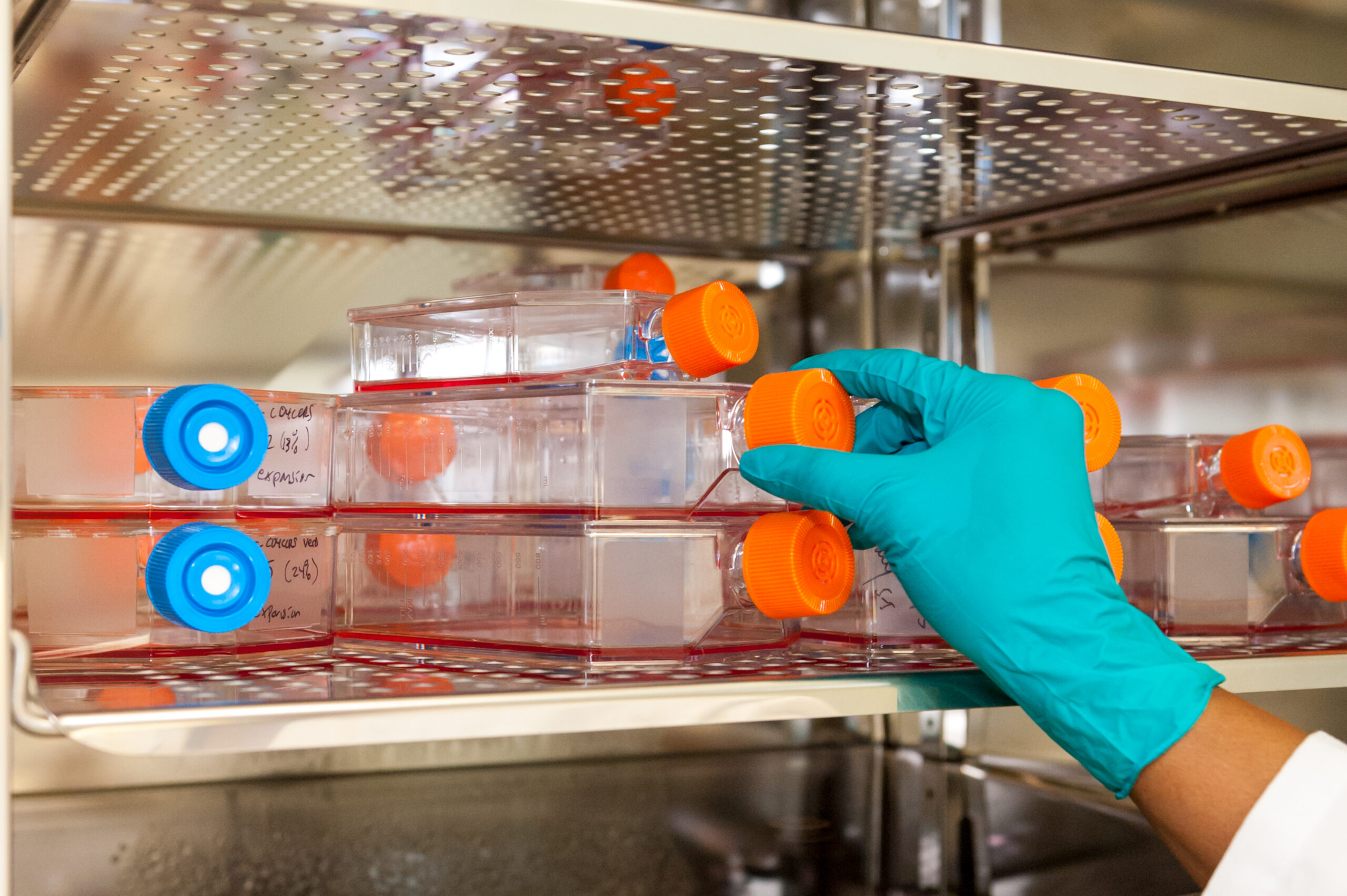 Vector Evaluation and Quality Control Team - IAVI